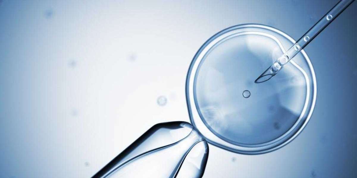 Artificial Insemination Market : An Overview | FeedsFloor